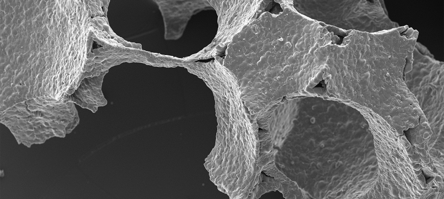 What if your Bone Graft could actively stimulate Bone Regeneration at a ...